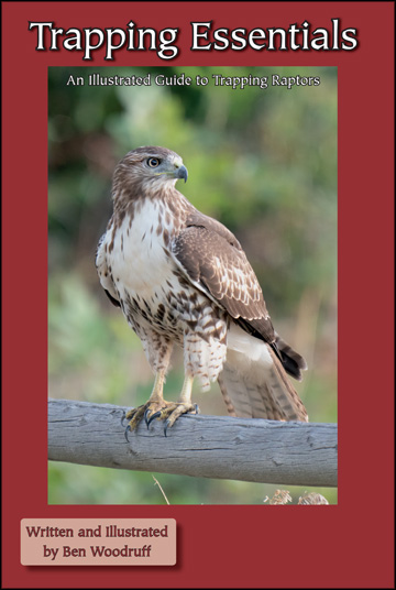 An Illustrated Guide to Trapping Raptors, B. Woodruff | Falconry Books