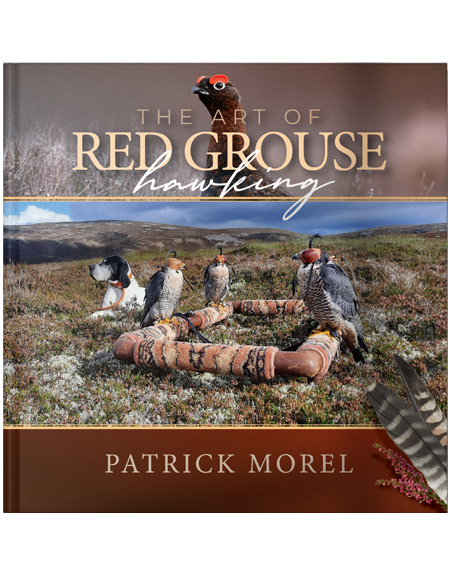 The Art of Red Grouse Hawking - Patrick Morel - Beautiful Book About ...
