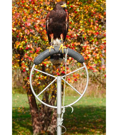 Stainless Rotating Ring Perch for Outdoor Use - Beautiful Construction