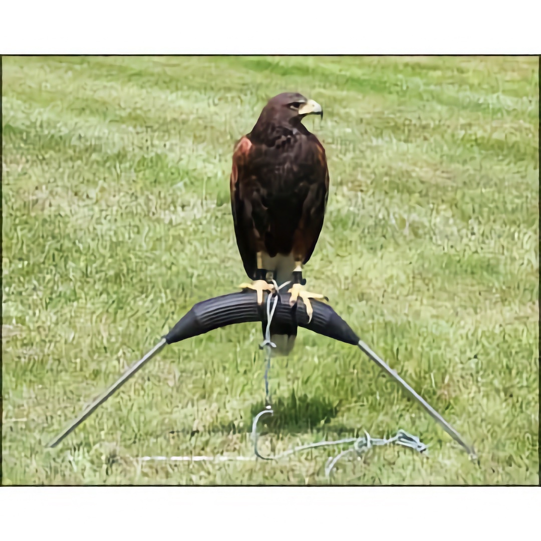 Western Sporting Falconry -: Perches, Turf & Bath Pans