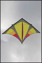 Western Sporting: Falconry Kites