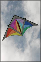 Falconry Balloons & Kites | Falcon Training Supplies