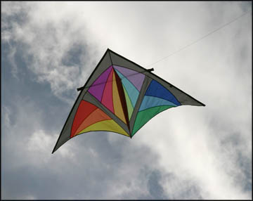 Western Sporting | Falconry Shop