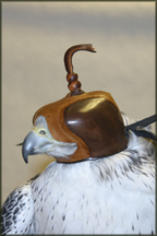 Western Sporting: Falconry Hoods