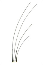 Western Sporting Falconry -: Falconry Transmitter